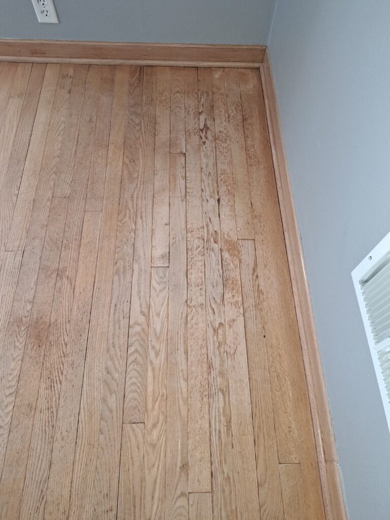 Hardwood Floor Screen and Recoat - Green Bay Carpet Cleaning
